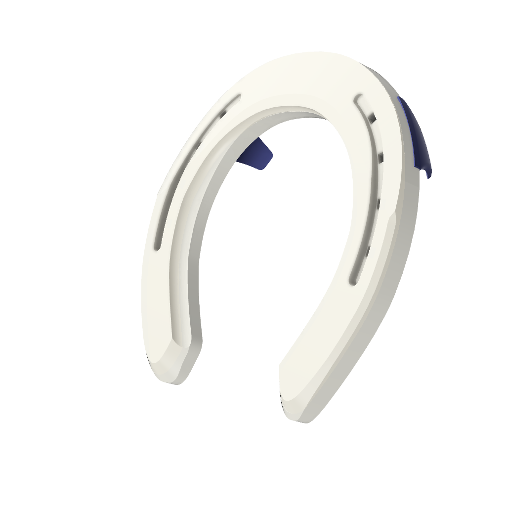 FLEX'SAND - The experience on sand